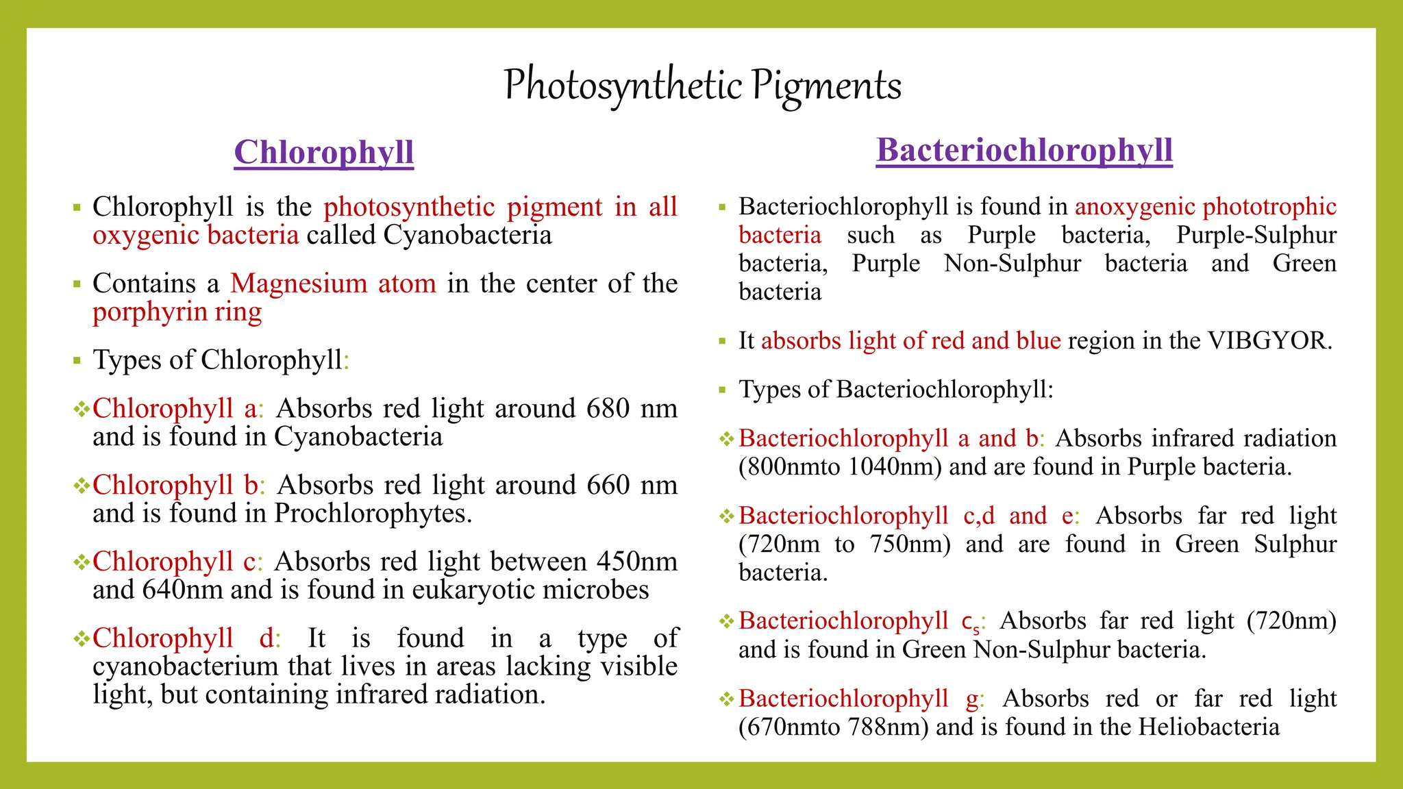 Process involved in Bacterial photosynthesis.pptx