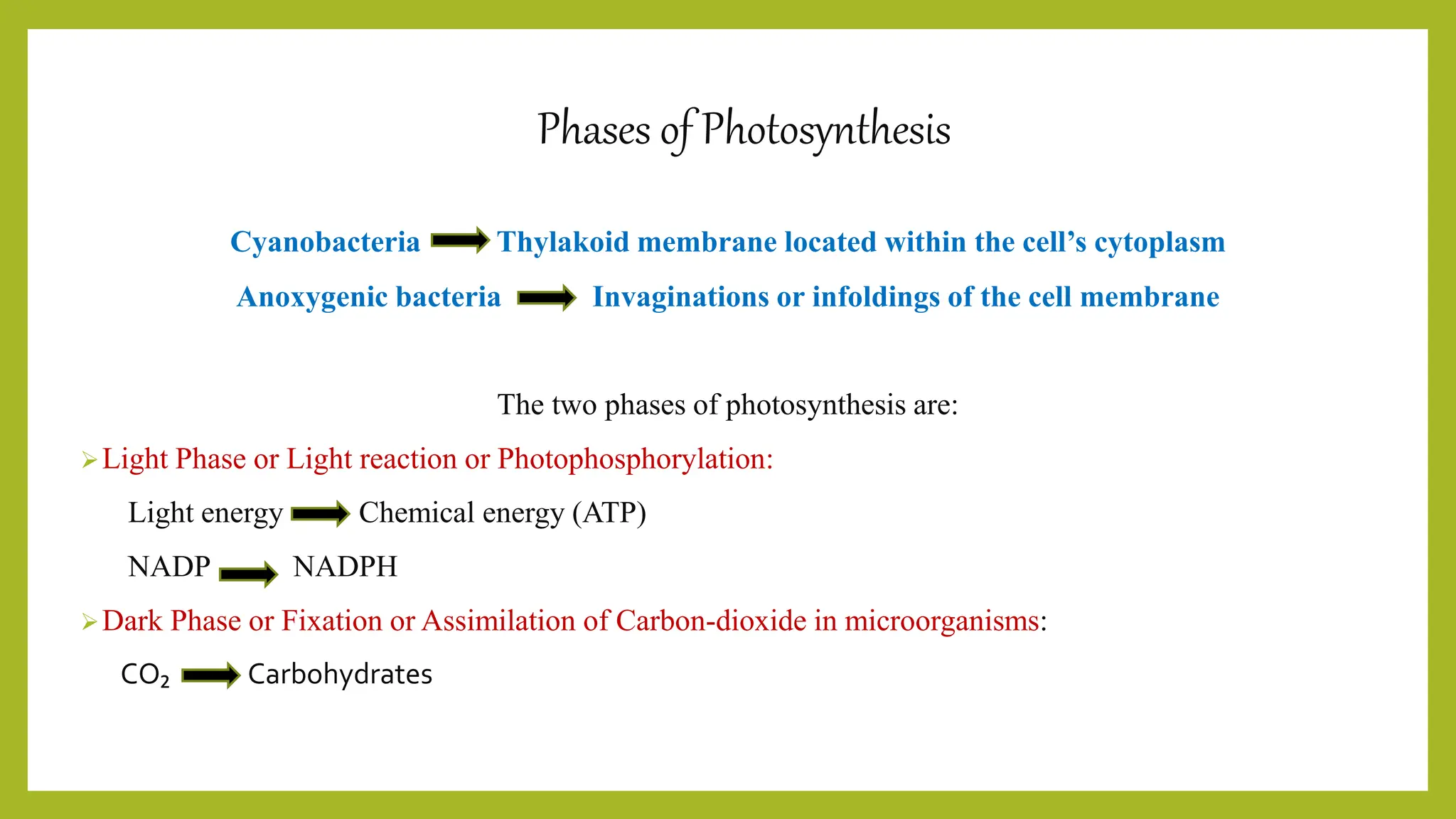 Process involved in Bacterial photosynthesis.pptx