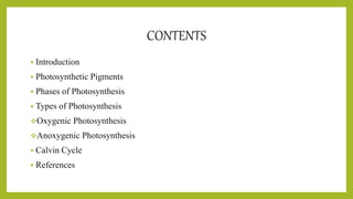 Process involved in Bacterial photosynthesis.pptx