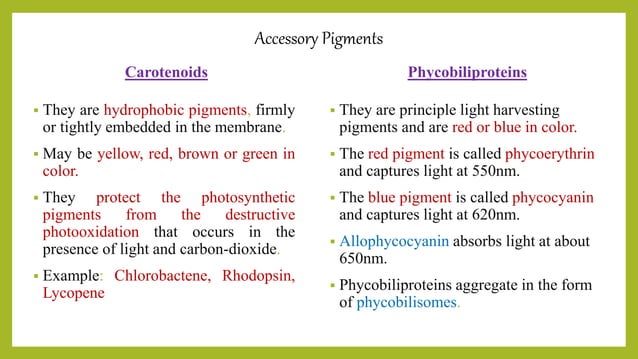 Process involved in Bacterial photosynthesis.pptx