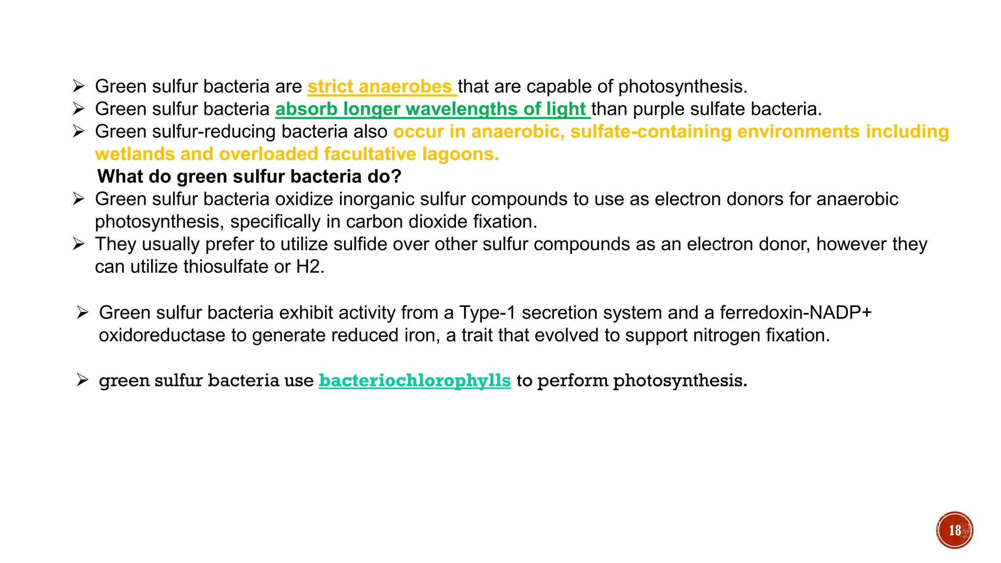 BACTERIAL PHOTOSYNTHESIS | PDF