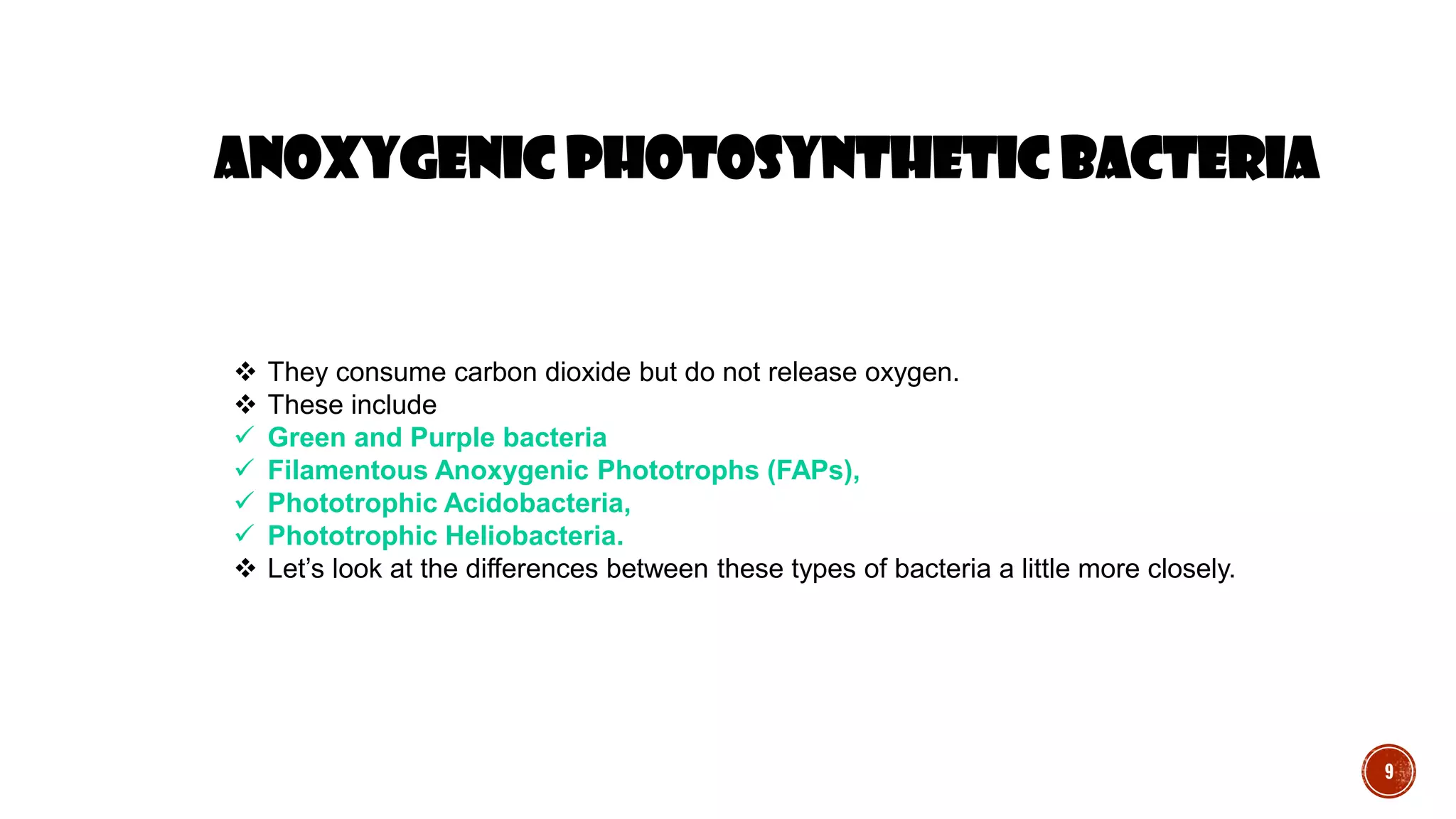 BACTERIAL PHOTOSYNTHESIS | PDF