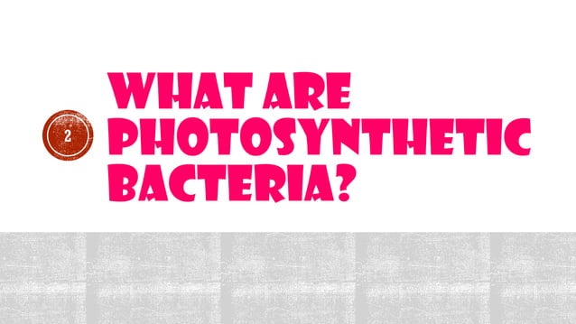 BACTERIAL PHOTOSYNTHESIS | PDF | Chemistry | Science