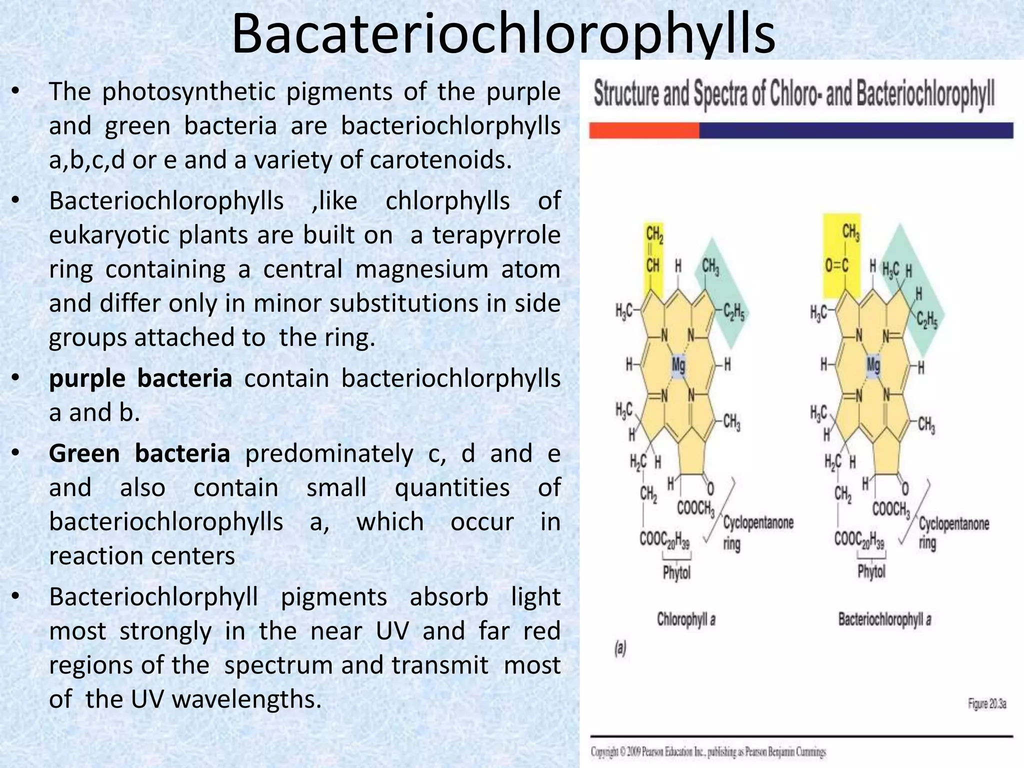 Bacterial photosynthesis 2020 | PPT