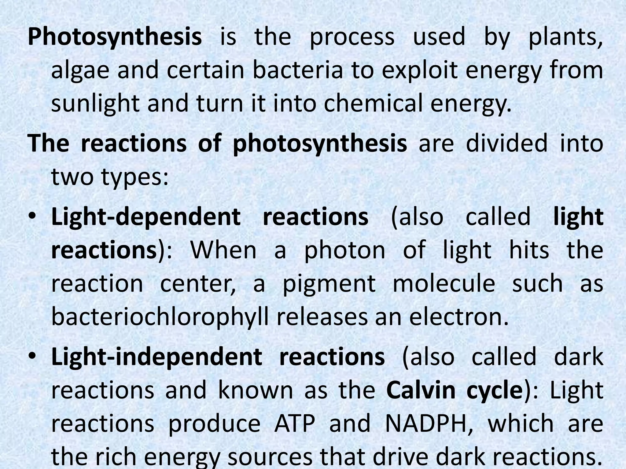 Bacterial photosynthesis 2020 | PPT