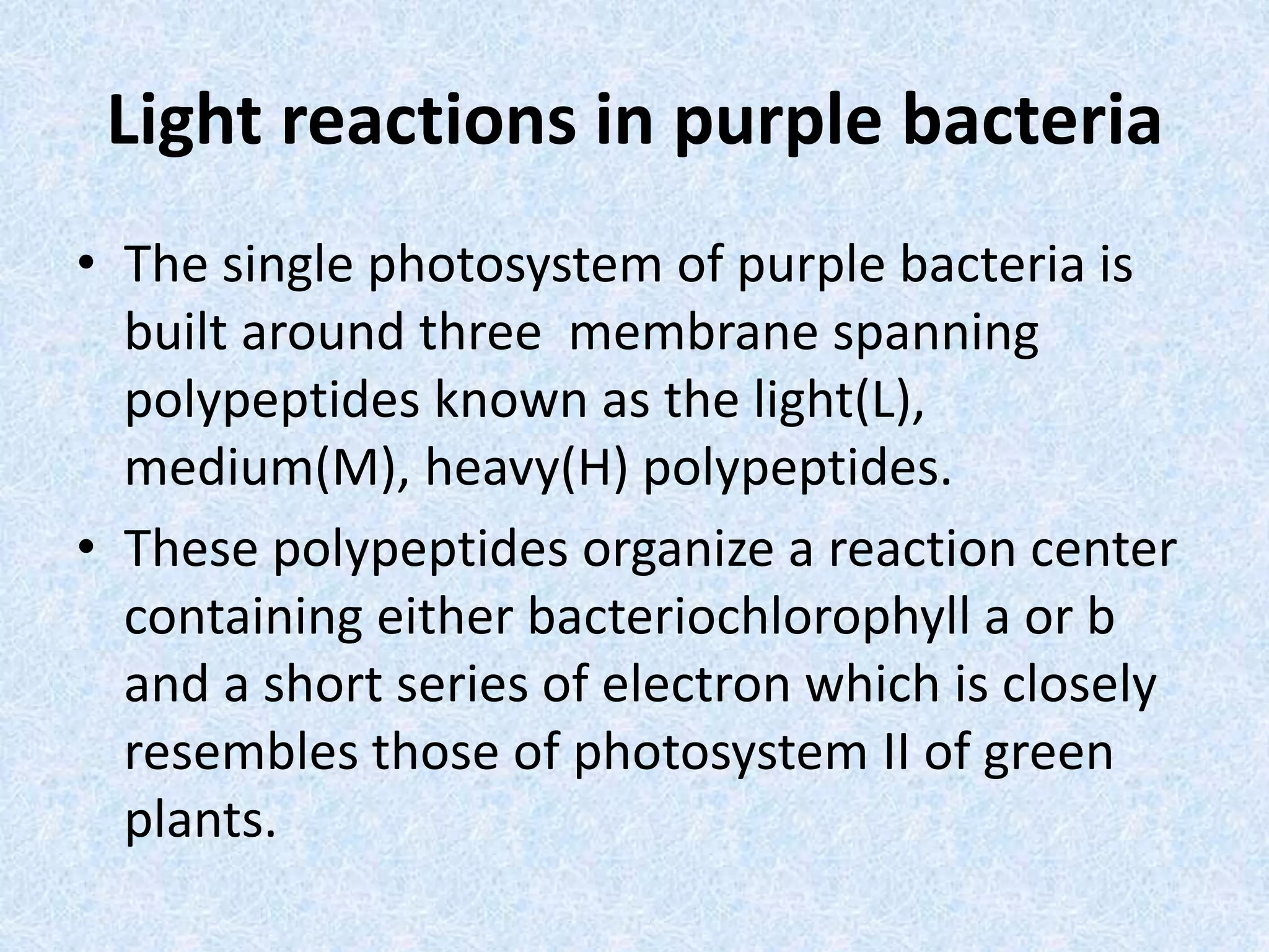 Bacterial photosynthesis 2020 | PPT