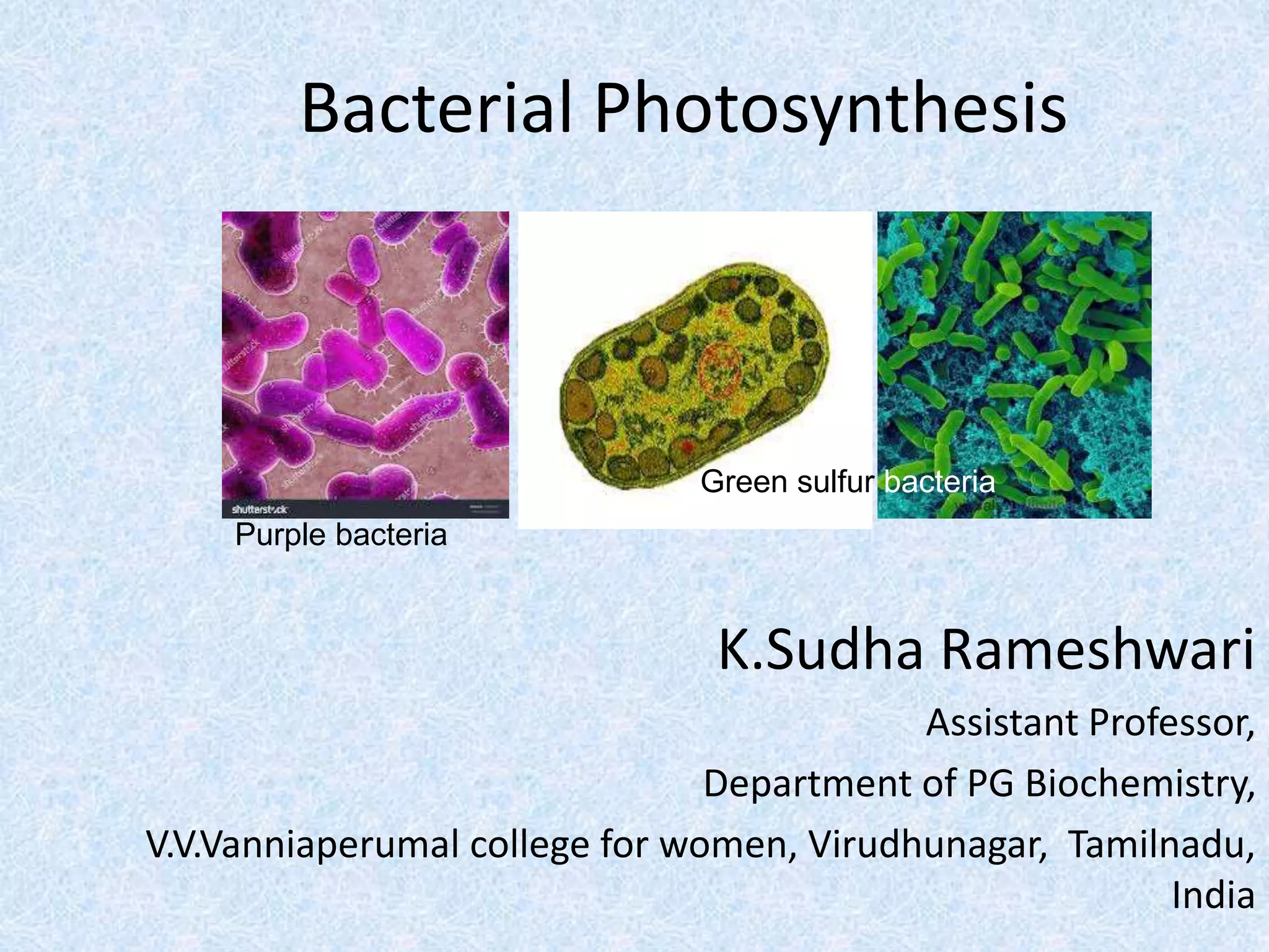Bacterial Photosynthesis Types & Structures | PPT