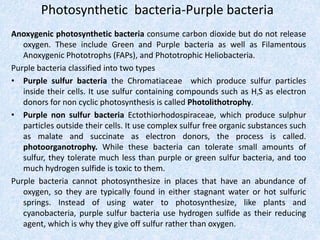 Green Sulfur Bacteria Photosynthesis