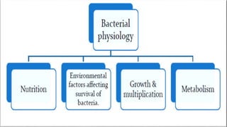 Bacterial physiologogy | PPTX | Chemistry | Science