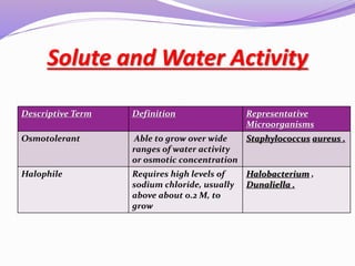 Bacterial physiology | PPT