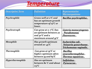 Bacterial physiology | PPTX