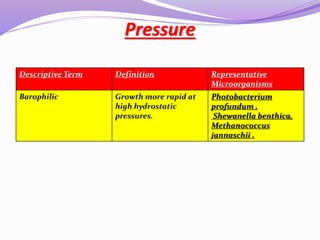 Bacterial physiology | PPT