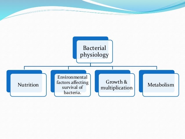 Bacterial physiology