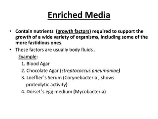 Bacterial physiology by Dr. Shireen Rafiq (RMC) | PPT