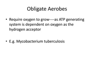 Bacterial physiology by Dr. Shireen Rafiq (RMC) | PPT