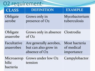 bacterial physiology | PDF