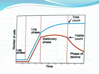 Bacterial Physiology Pdf