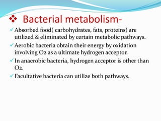 bacterial physiology | PDF