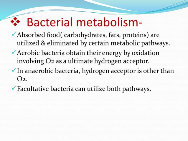 Bacterial Physiology Pdf