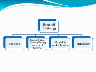 bacterialphysiology- lecture 4.pptx