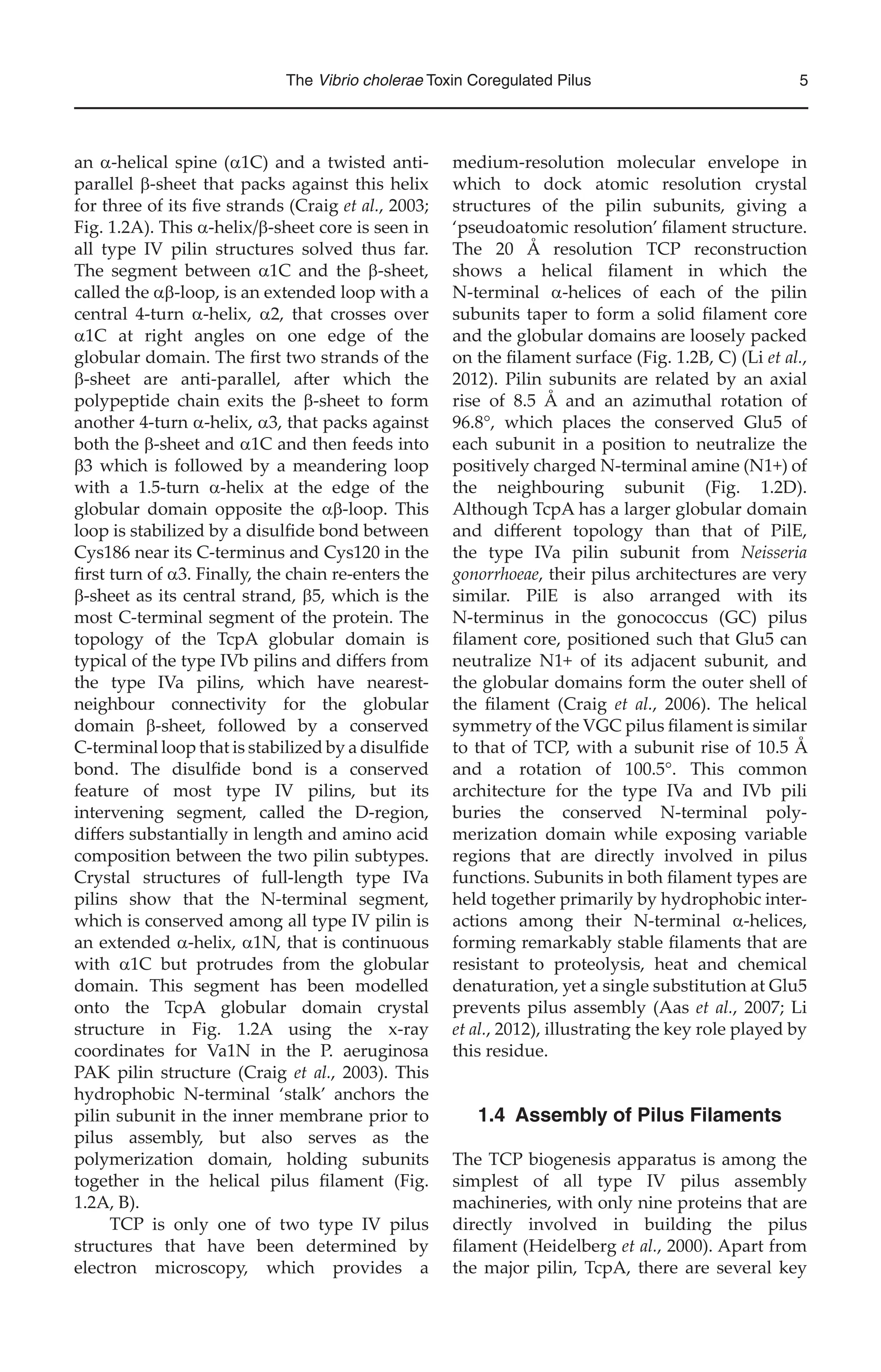 Bacterial pili- structure, synthesis and role in disease.pdf