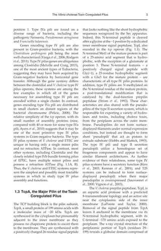 Bacterial pili- structure, synthesis and role in disease.pdf