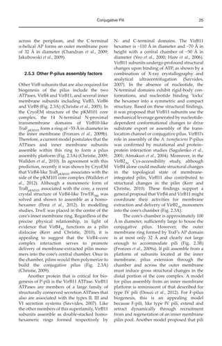Bacterial pili- structure, synthesis and role in disease.pdf