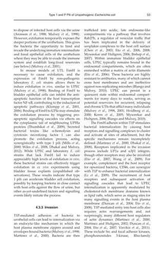 Bacterial pili- structure, synthesis and role in disease.pdf