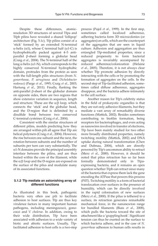 Bacterial pili- structure, synthesis and role in disease.pdf