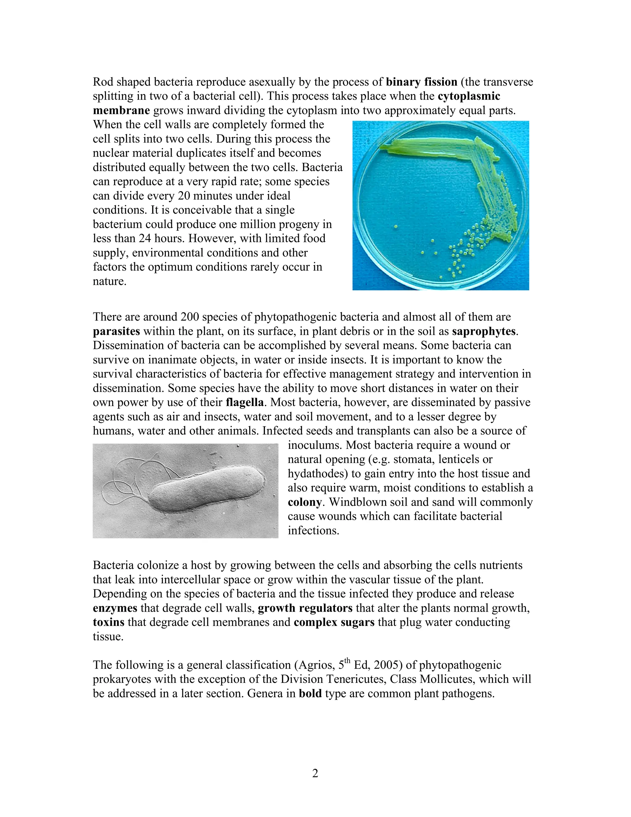 most Bacterial Plant Pathogens _ 001.pdf