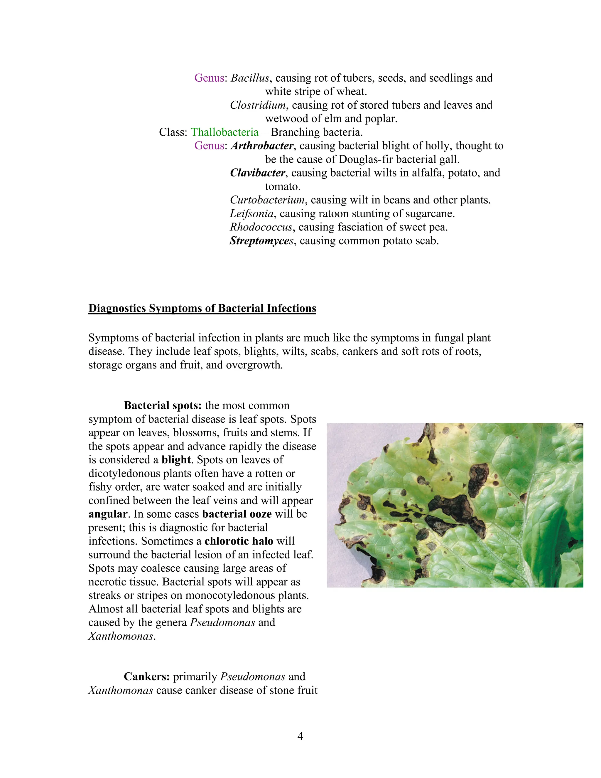 most Bacterial Plant Pathogens _ 001.pdf