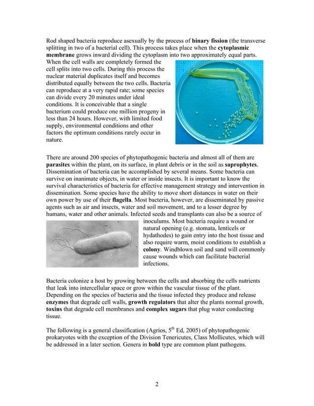 most Bacterial Plant Pathogens _ 001.pdf