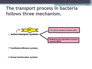 Bacterial plasma membrane permeases (HISTIDINE PERMEASE) | PPTX