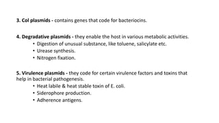 Lecture on Bacterial Plasmid by Dr. Avizit Sarker | PDF