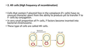 Lecture on Bacterial Plasmid by Dr. Avizit Sarker | PDF