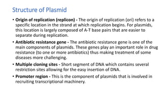 Lecture on Bacterial Plasmid by Dr. Avizit Sarker | PDF