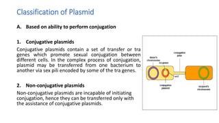 Lecture on Bacterial Plasmid by Dr. Avizit Sarker | PDF