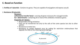 Lecture on Bacterial Plasmid by Dr. Avizit Sarker | PDF