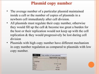 bacterial plasmid, their propertis, classification | PPTX