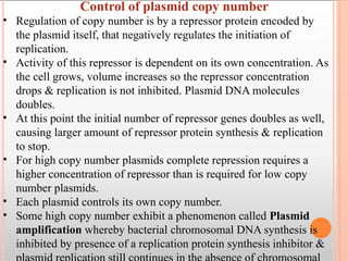 bacterial plasmid, their propertis, classification | PPTX