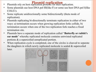 bacterial plasmid, their propertis, classification | PPTX