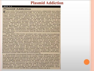 bacterial plasmid, their propertis, classification | PPTX