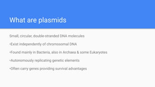Bacterial Plasmid Structure and Functions | PDF