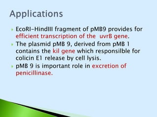 Bacterial plasmids | PPTX
