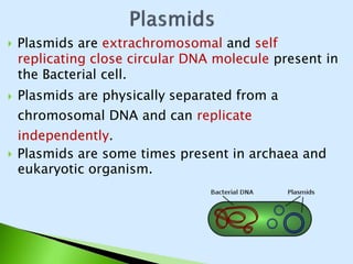 Bacterialplasmids.pptx | Biological Sciences | Science
