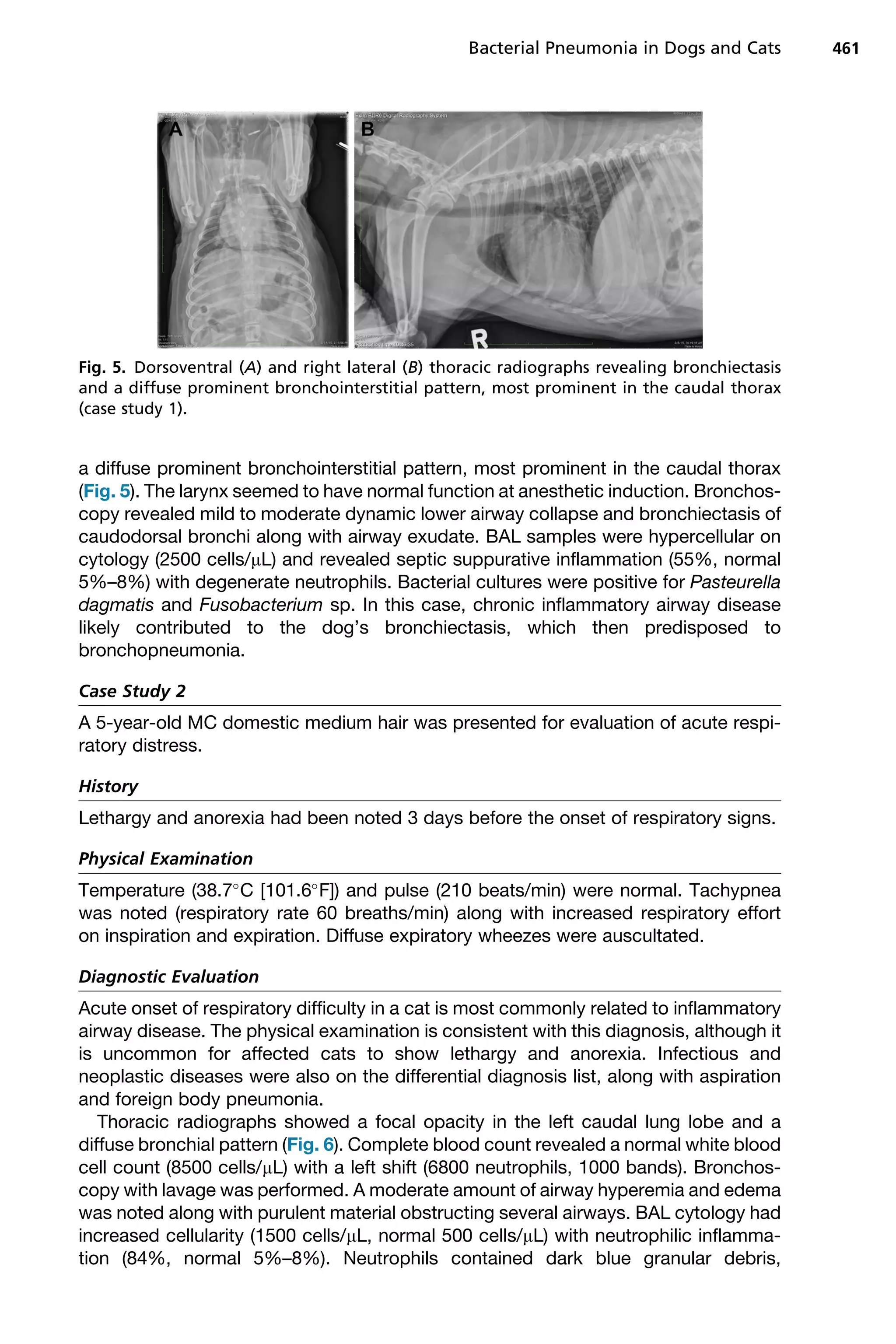 Bacterial Pneumonia in dogs and cats_2020.pdf