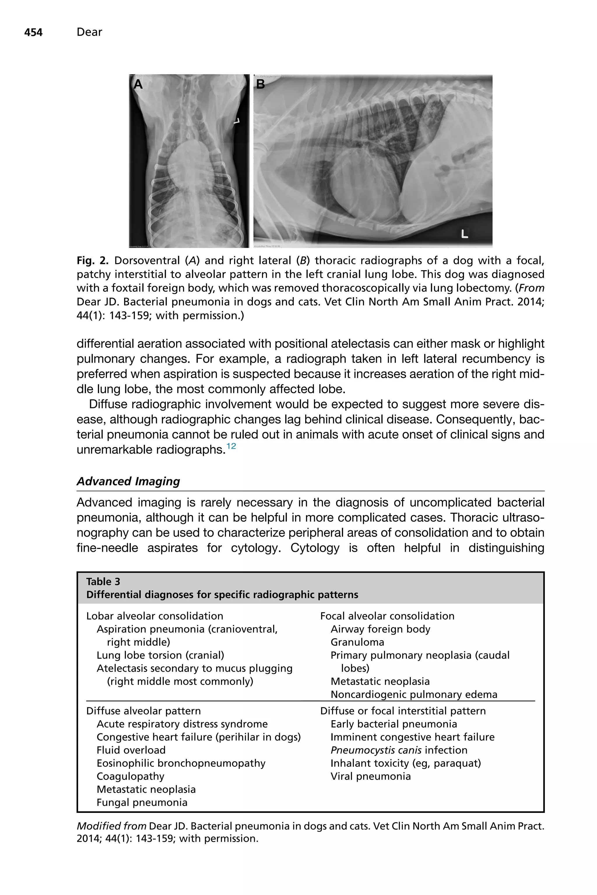 Bacterial Pneumonia in dogs and cats_2020.pdf