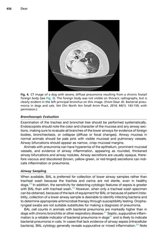 Bacterial Pneumonia in dogs and cats_2020.pdf