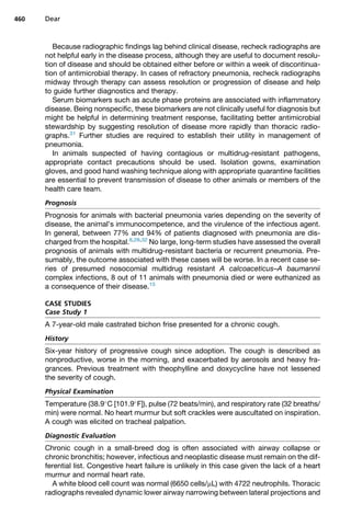 Bacterial Pneumonia in dogs and cats_2020.pdf