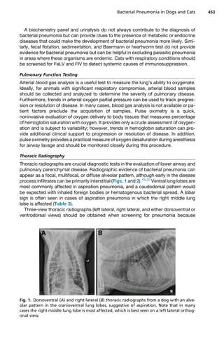 Bacterial Pneumonia in dogs and cats_2020.pdf